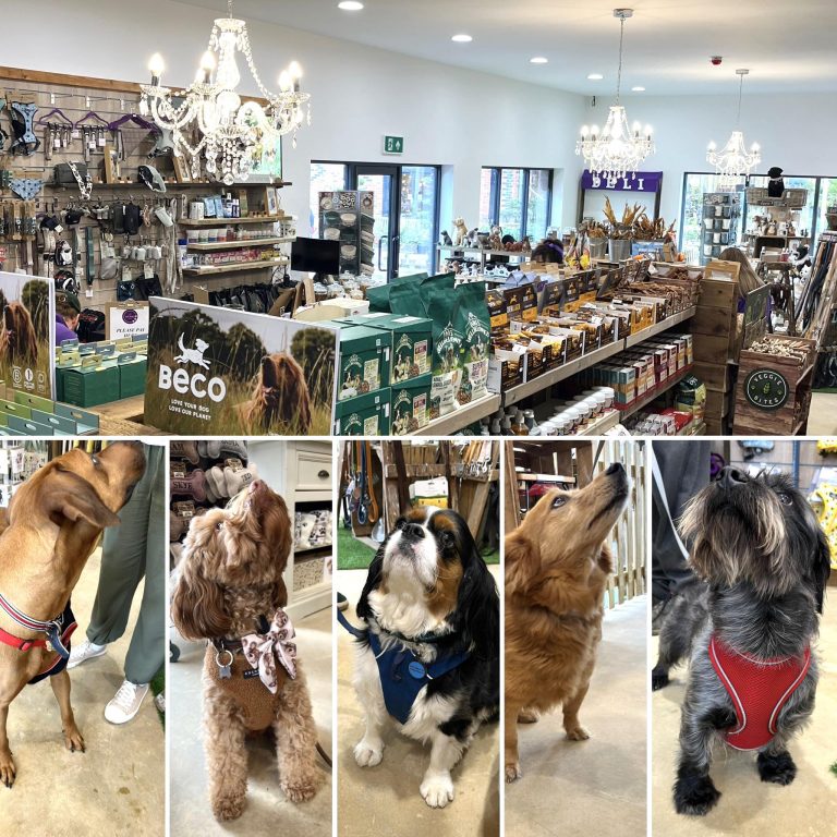 A High Light – The Dog Barn